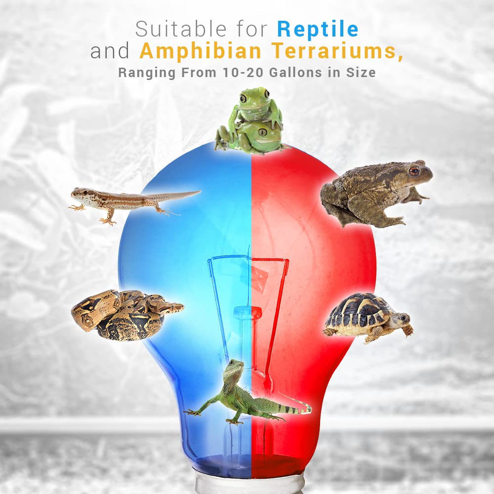 Bluex Bulbs 4 Pack A19 Day Blue & Red Night Reptile Heat Bulb Combo Pack 60W - Terrarium Light & Heat Source Replicates Day Night Environment Promotes Natural Behavior Reptile Day and Night Heat Lamp