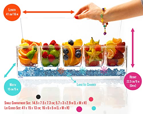 gesPINK Condiment Server with Small Lids, Bar Condiment Tray with Lid, Garnish Tray Bar Fruit Caddy with Lid, Chilled Condiment Server for Parties, Plus Utensils