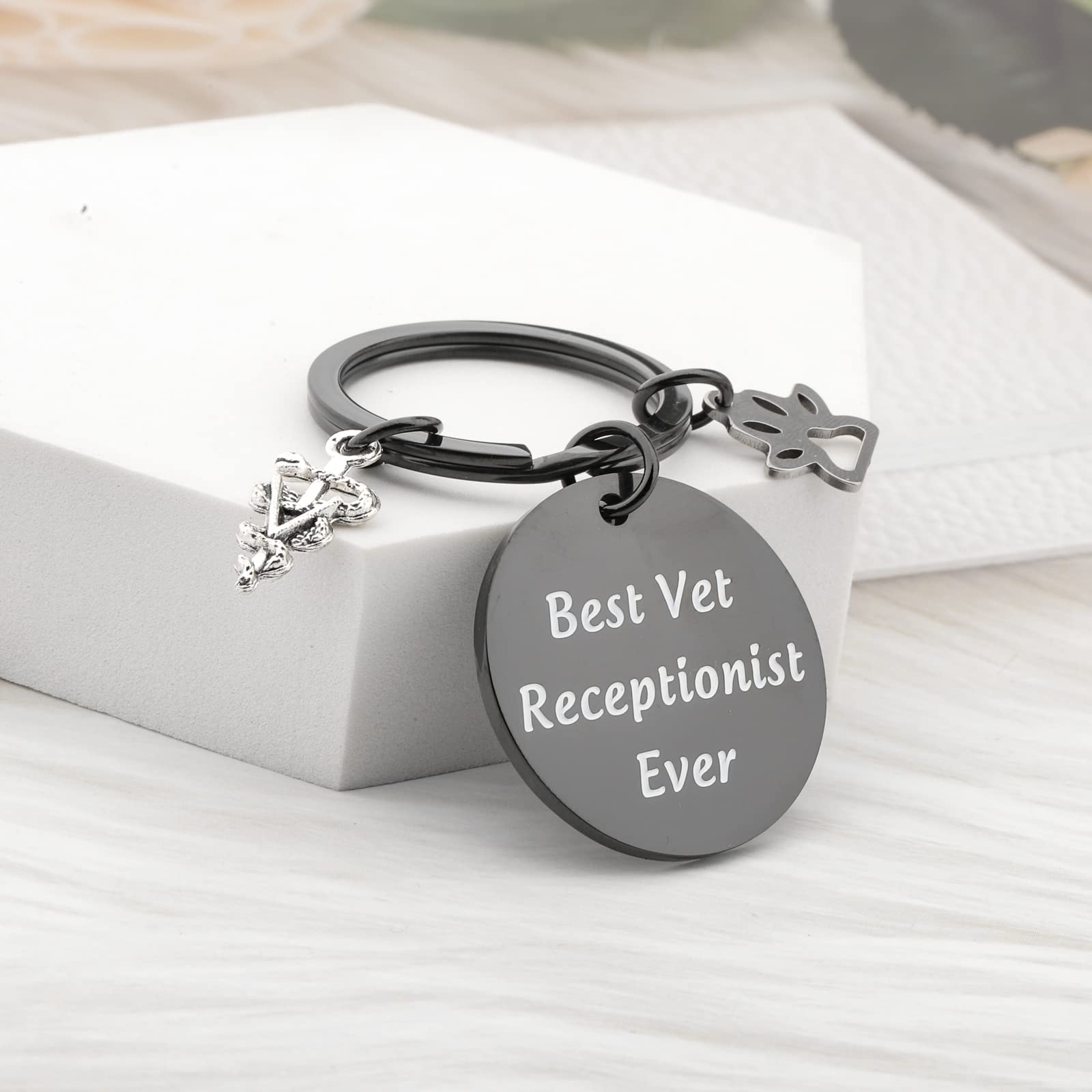 CENWA Vet Receptionist Gift Best Vet Receptionist Ever Keychain Veterinary Assistant Vet Nurse Gift (Best Vet black k)