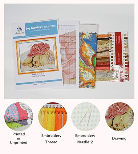 Joy Sunday Cross Stitch Kits Stamped Full Range of Embroidery Starter Kits for Beginners DIY 14CT 2 Strandst- The Beautiful Scenery of Park(Printed 22×17 inches
