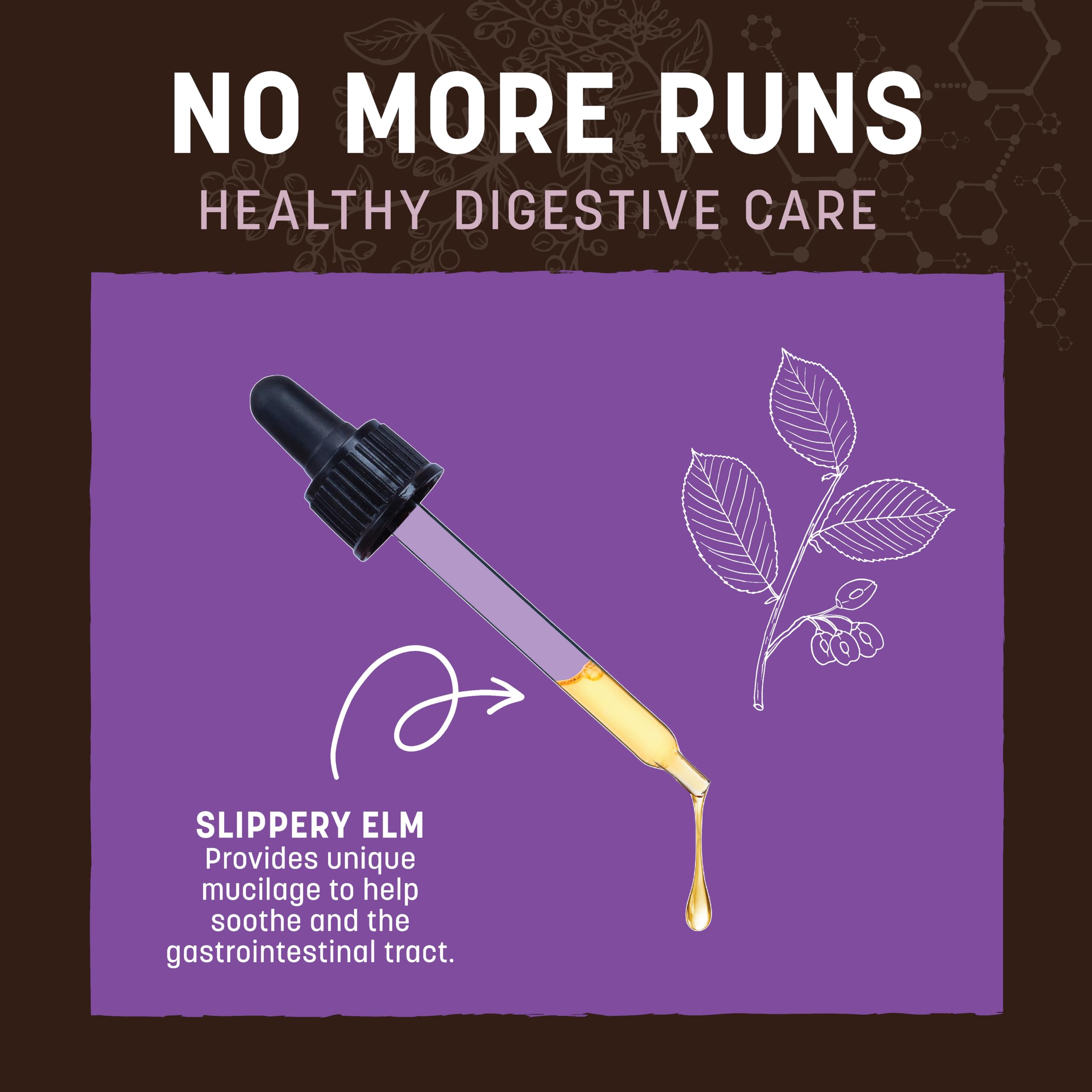 Earth Animal Herbal Remedies | No More Runs | 2 fl oz