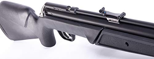 Benjamin 392S .22-Caliber Bolt Action Variable Pump Air Rifle, Black