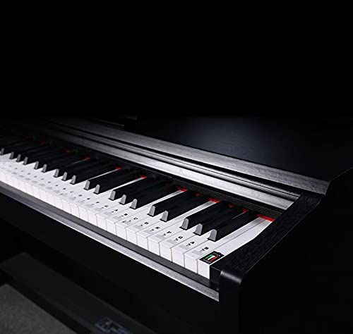 Piano Keyboard Stickers for Beginners 88/61/54/49/37 Key. Large Bold Letter Piano Stickers Perfect for kids Learning Piano, Transparent and Removable