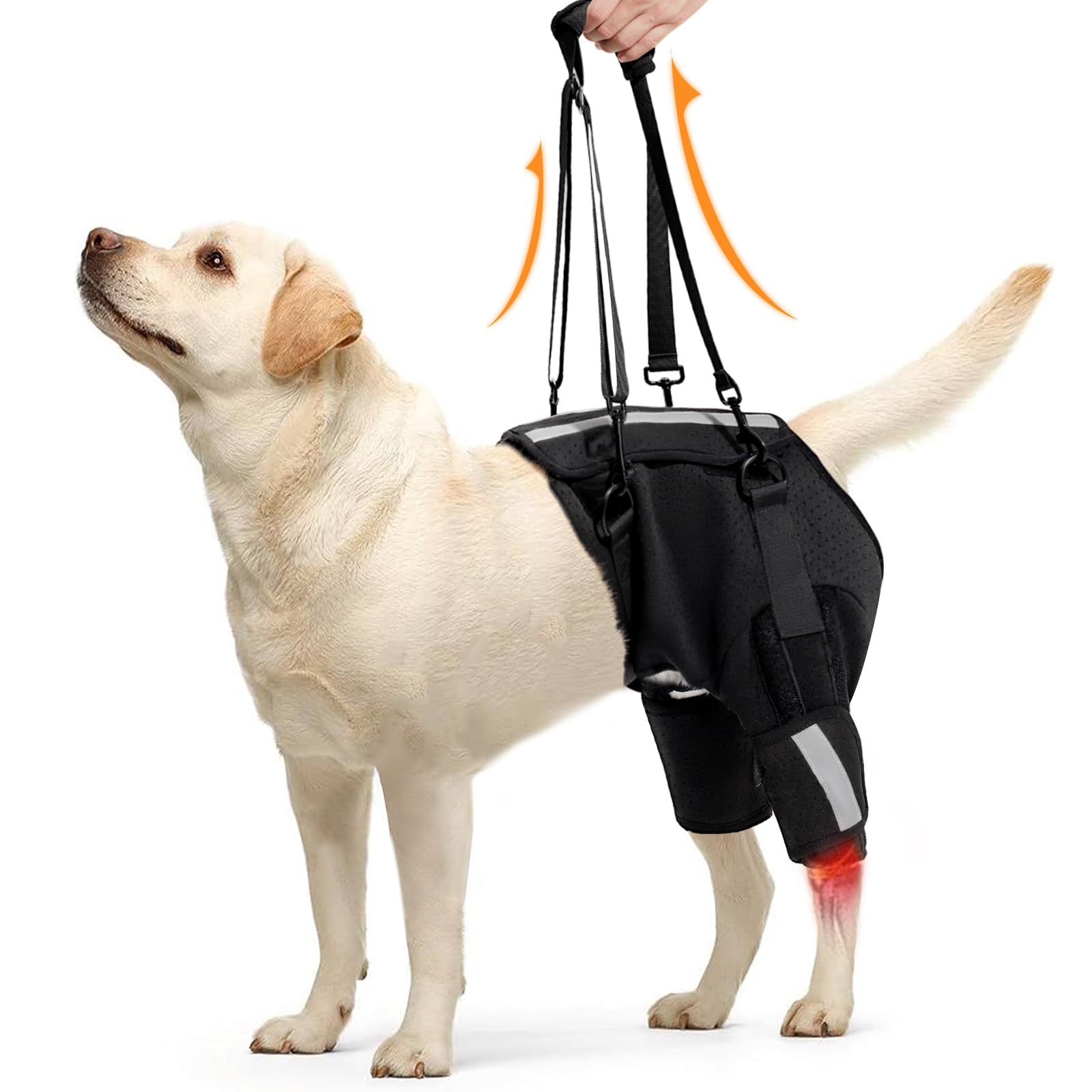 Dotoner Dog Sling for Large Dogs Hind Leg Support Harness with Magic Tape & Reflective Strip Assists Elderly Dogs with Weak Hind Legs, Disabilities Help 'Em Up Lift Harness for Dogs