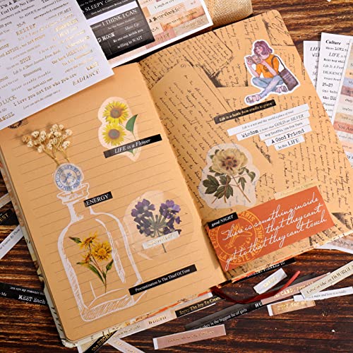 Juome 12 Sheet Quote Stickers for Journaling, Scrapbook Stickers for Scrapbooking Supplies, Words Phrases Stickers for Journaling Supplies Junk Journal Aesthetic Stickers