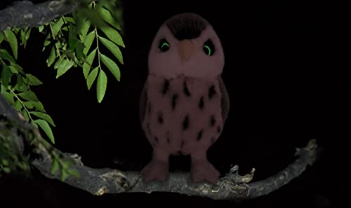 Ice King Bear Owl Stuffed Animal Luminous Eyes, Cute Plush Toy 10 Inches
