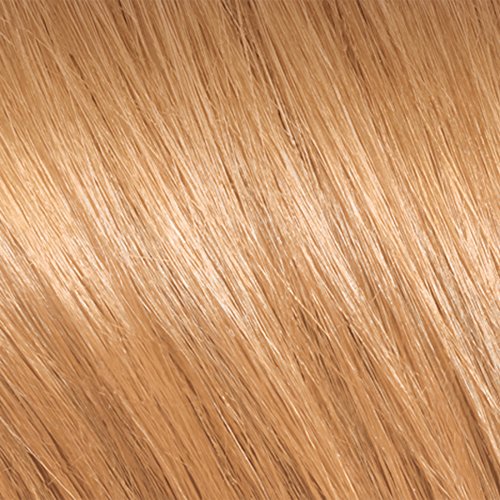 L'Oreal Paris Superior Preference Fade-Defying + Shine Permanent Hair Color, 9GR Light Golden Reddish Blonde, Pack of 1, Hair Dye
