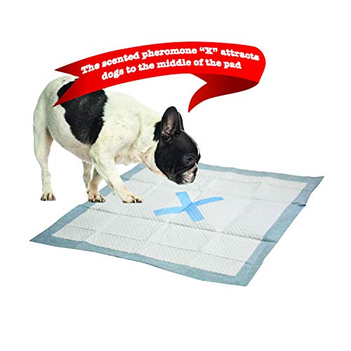 SPOT X Marks The Super Absorbent Pee Pads | Puppy Pads | Puppy Pads with Adhesive | Training Pads | Dog Pads | Dog Pee Pads | Dog Potty Pads | Adhesive Strips | 22"X22" | 50 CT