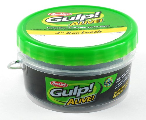 Berkley Gulp! Alive! Leech Fishing Bait, Black, 3in | 8cm, Pint, Extreme Scent Dispersion, Enhanced Action & Realistic Profile, Ideal for Walleye, Bass and More