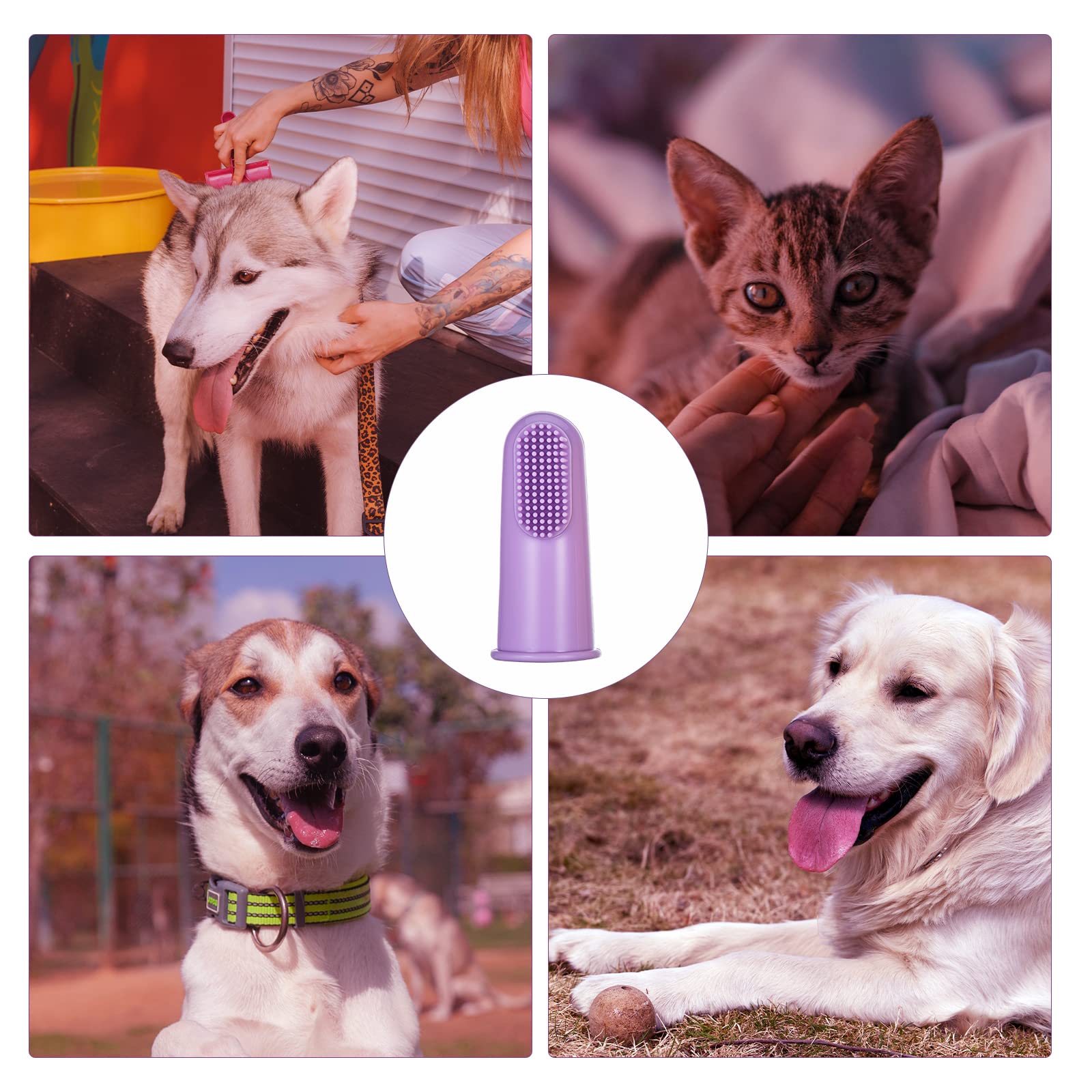 BINFAR Dog Toothbrush,Finger Toothbrush Kit,Ergonomically Designed,Easy Teeth Cleaning (Dots on The Back)