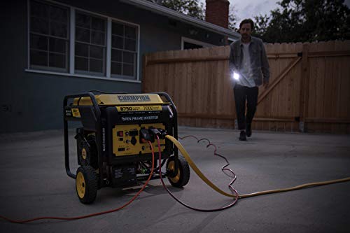 Champion Power Equipment 100520 8750-Watt DH Series Open Frame Inverter, Electric Start