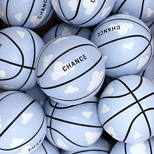 Chance Mini Basketball – Float – 9-inch Collectible Composite Leather Indoor Miniature Basketball (Size 1)