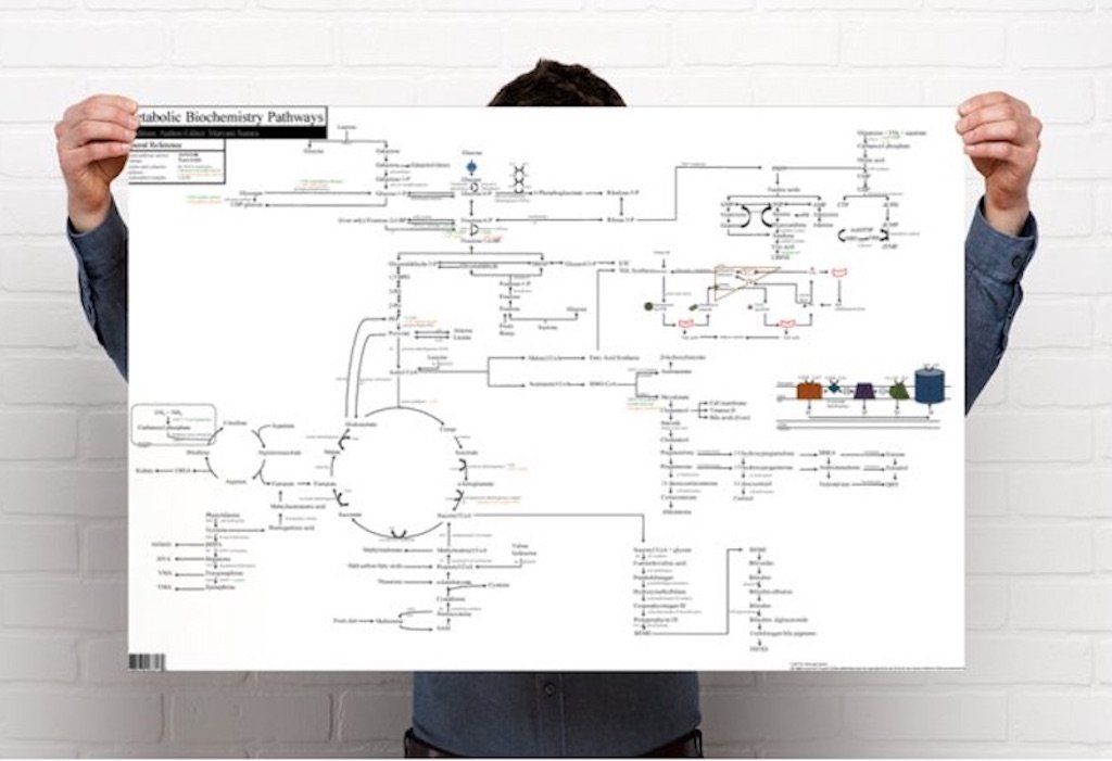 Metabolic Biochemistry Pathways Poster (36 x 24 Inches, Non-Laminate Standard, 1)