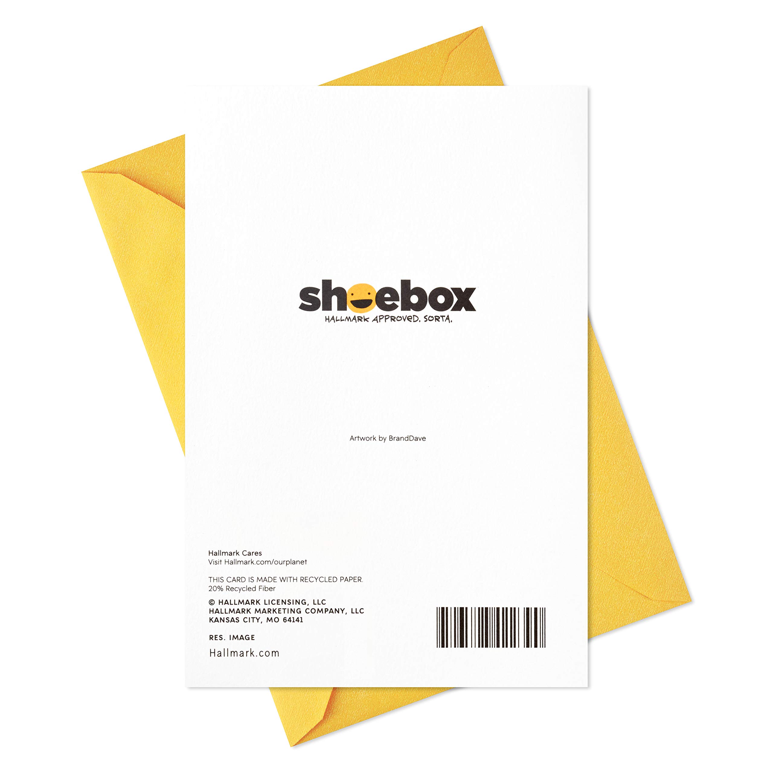 Hallmark Shoebox Funny Birthday Card (Quarantine Birthday) (349RZF1065)