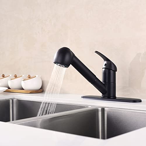 BZOOSIU Stainless Steel Pull Out Sprayer Kitchen Sink Faucet with Deck Plate, Single Lever Low Arch Rv Kitchen Faucet, 1-Hole or 3-Holes Installation Bar Faucets, Matt Black