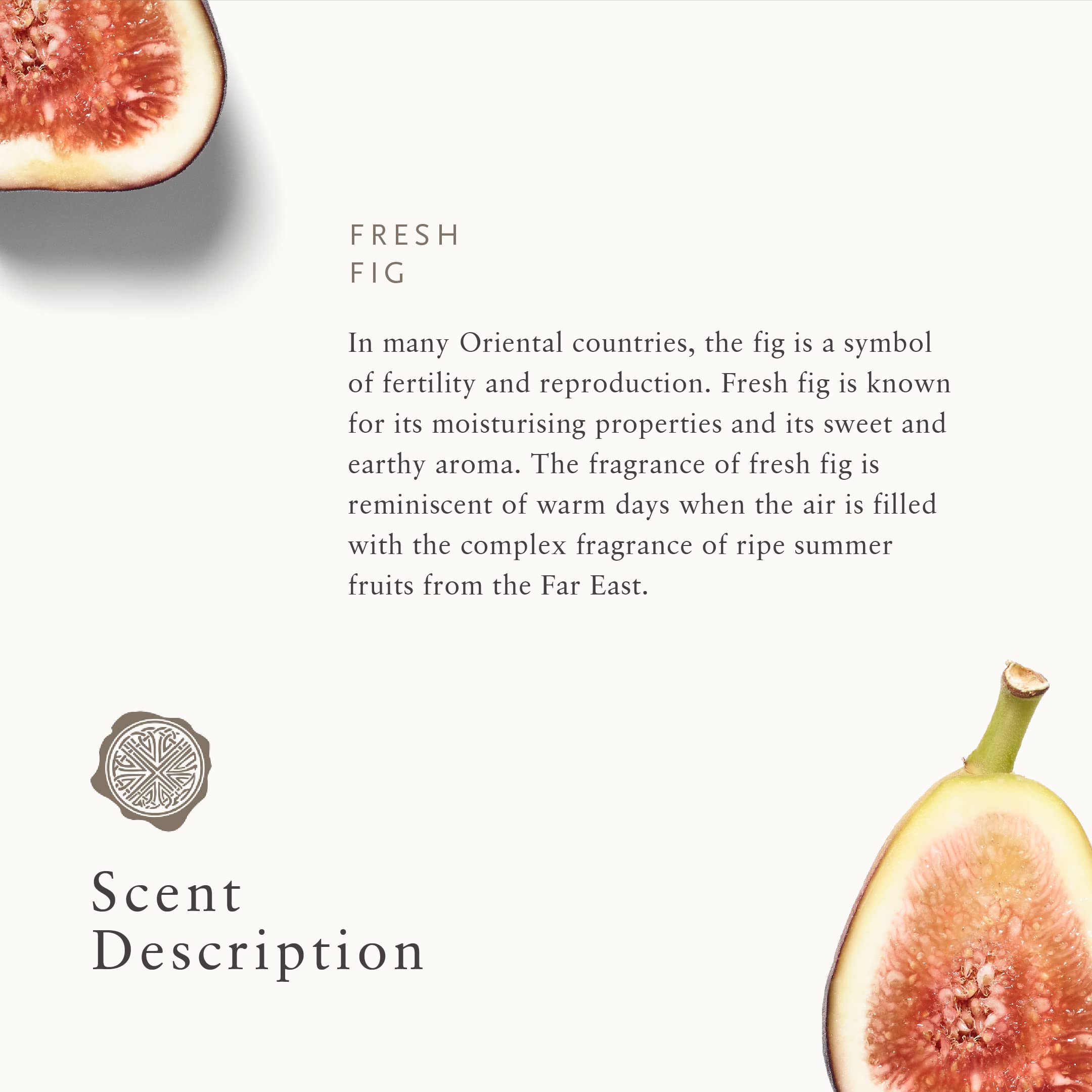 RITUALS Wild Fig Luxury Home Decor Scented Candle - Aromatherapy Candle with Italian Fig, Chinese Orris, Clove & Sandalwood - 12.6 Oz