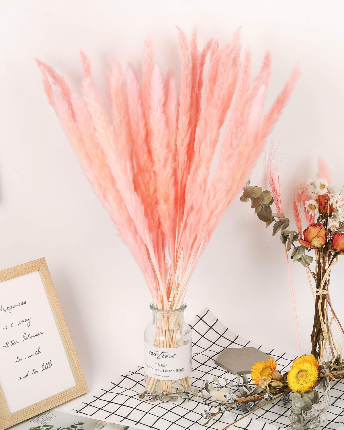 Omldggr 20 Pieces Natural Dried Pampas Grass Natural Dried Flowers Dried Reed Grass for Home Garden Office Party Wedding Decor(Pink)