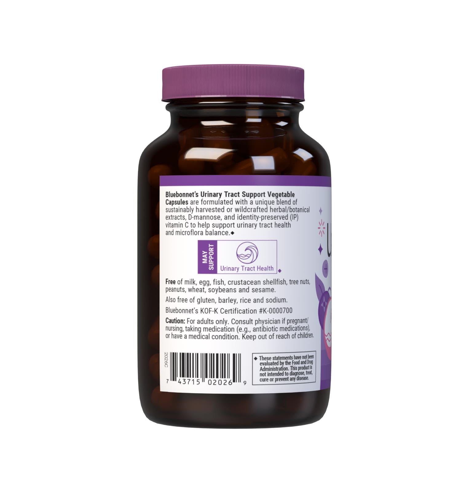 Bluebonnet Nutrition Urinary Tract Support, Cleanse & Flush*, Soy-Free, Gluten-Free, Kosher-Certified, Non-GMO, Dairy-Free, Vegan, 60 Vegetable Capsules, 30 Servings