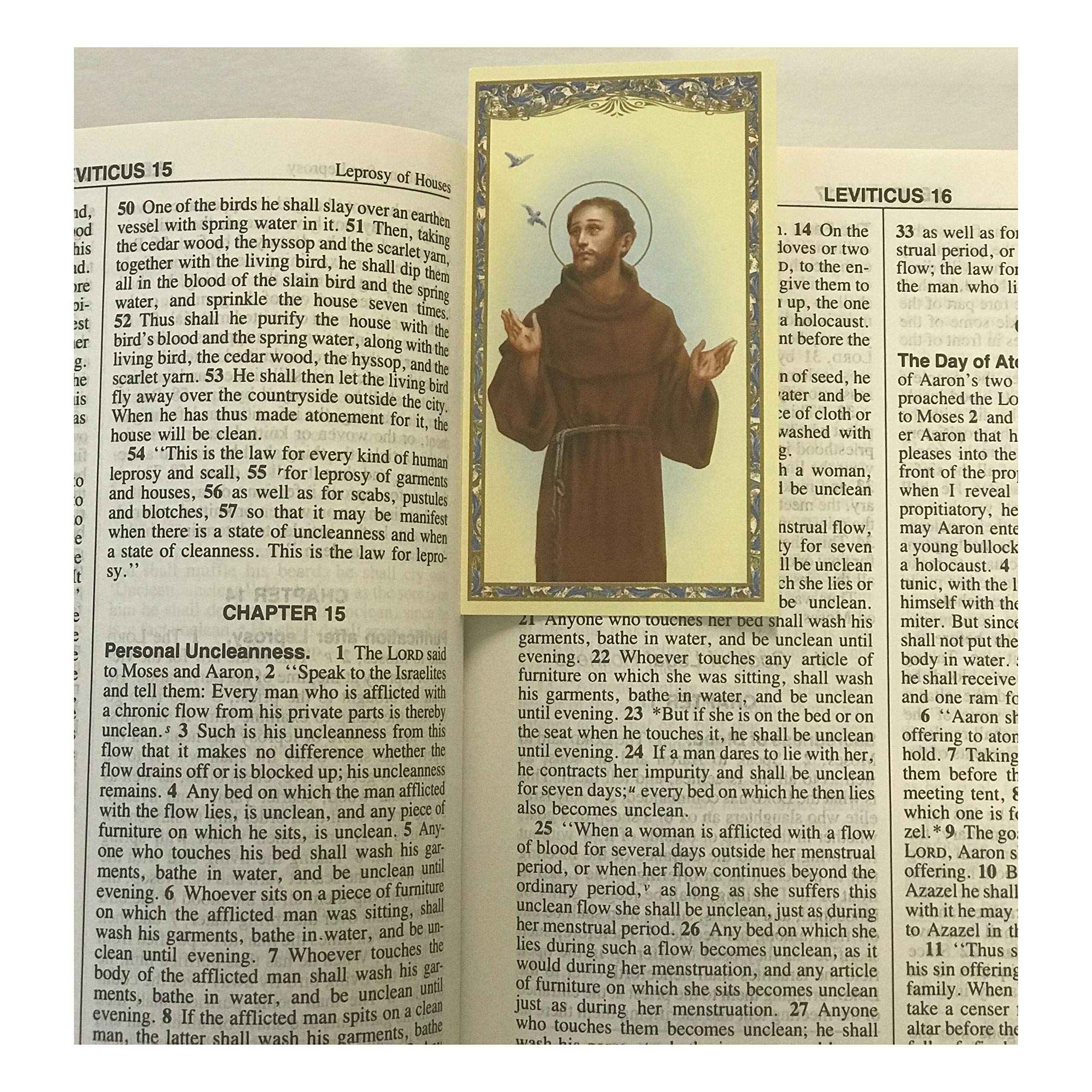 H HOLLY LINES St. Francis Prayer Cards Catholic Saint Francis of Assisi Holy Cards Set of Ten