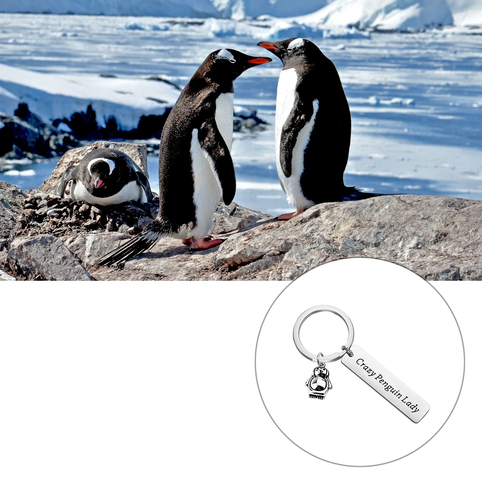 BNQL Crazy Penguin Lady Keychain Gift for Animal Lovers