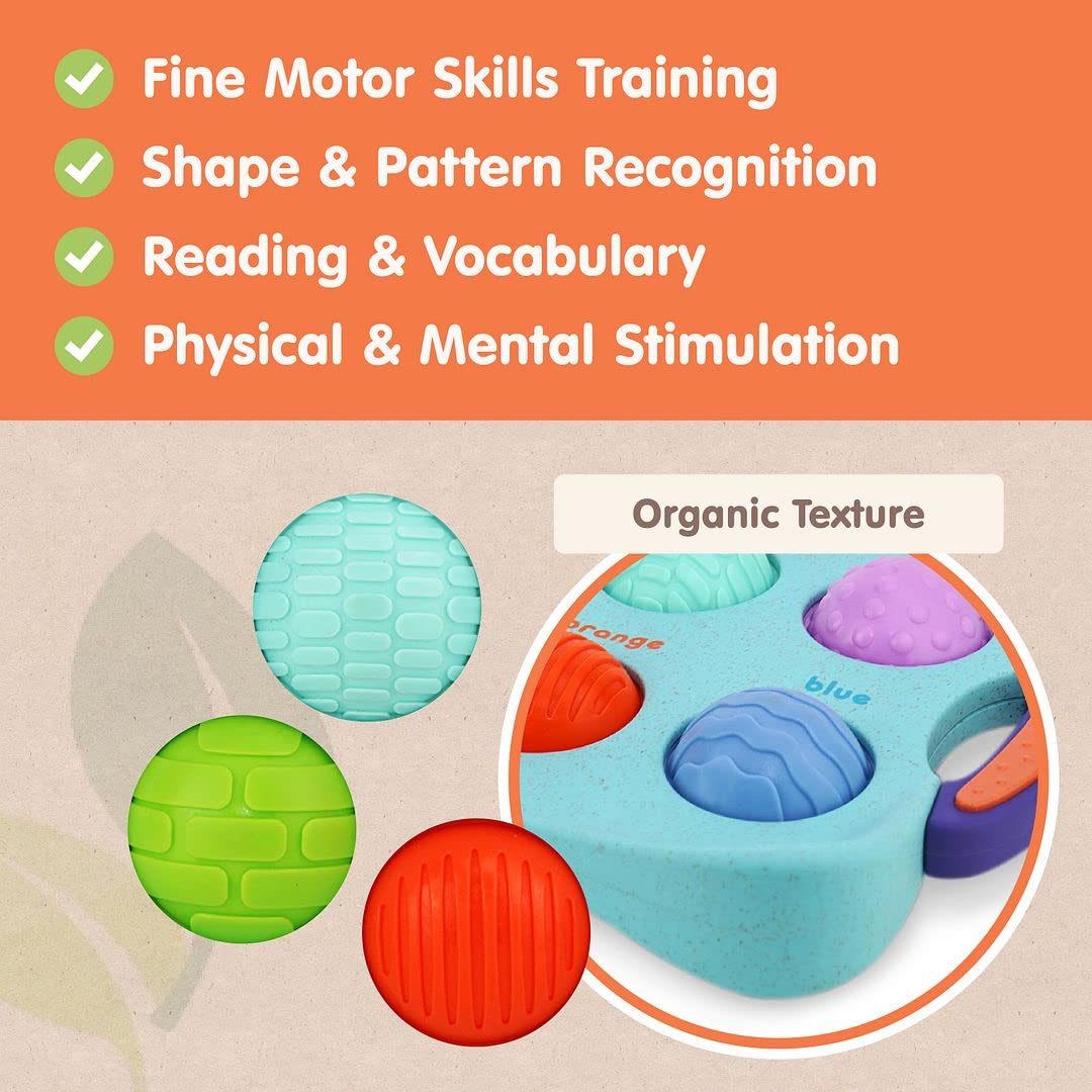 Roo Crew Sensory Toys Learning Tablet 1 - Educational Fidget Toy Set for Kids with Textured Bubbles - 11.5" x 8.25"