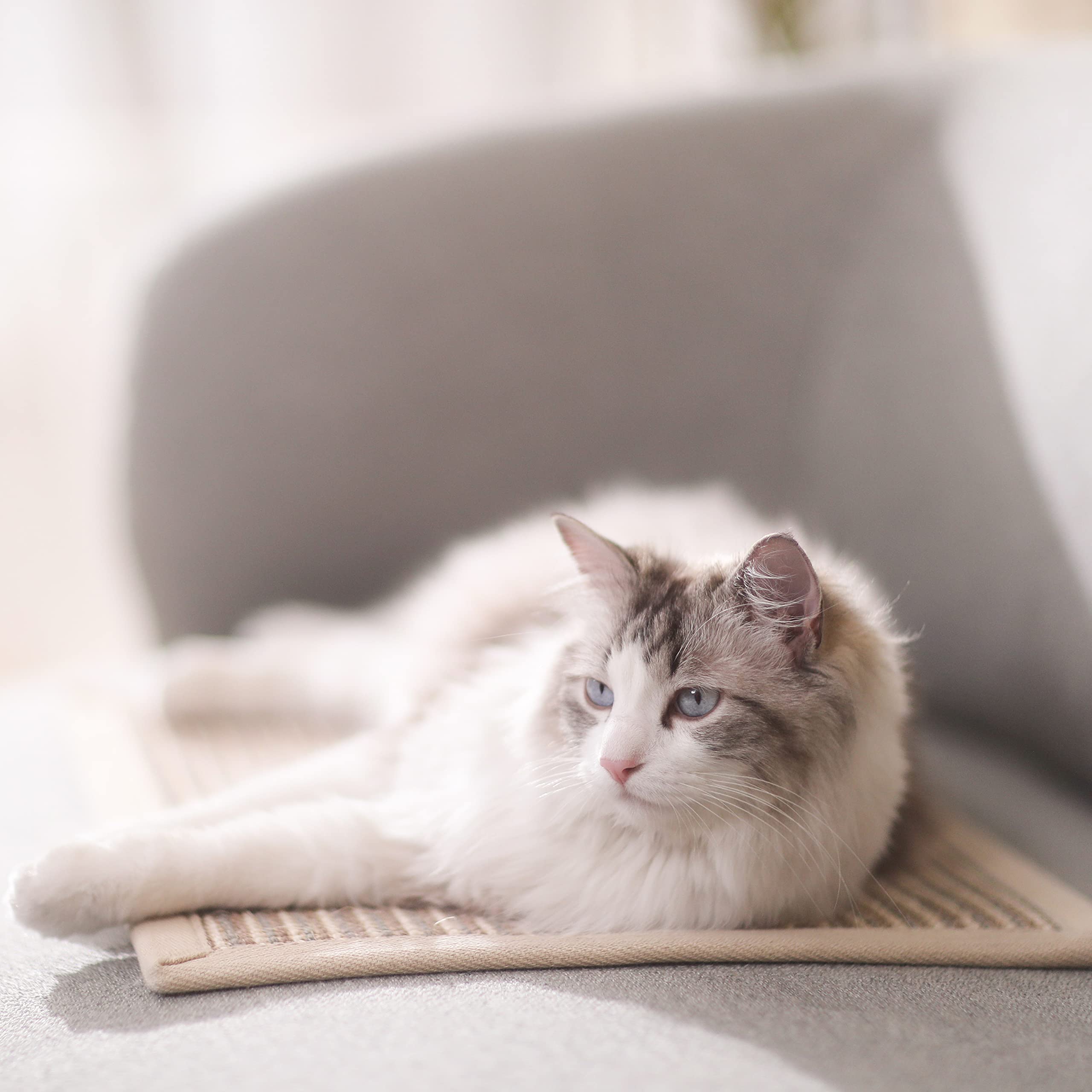 FUKUMARU Cat Scratcher Mat, 23.6 X 15.7 Inch Natural Sisal Cat Scratch Mats, Horizontal Cat Floor Scratching Pad Rug, Protect Carpets and Sofas (Cream - Thicken)