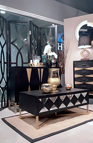 Screen Gems Savoy Screen SG-281-84" x 84" Room Divider, Black
