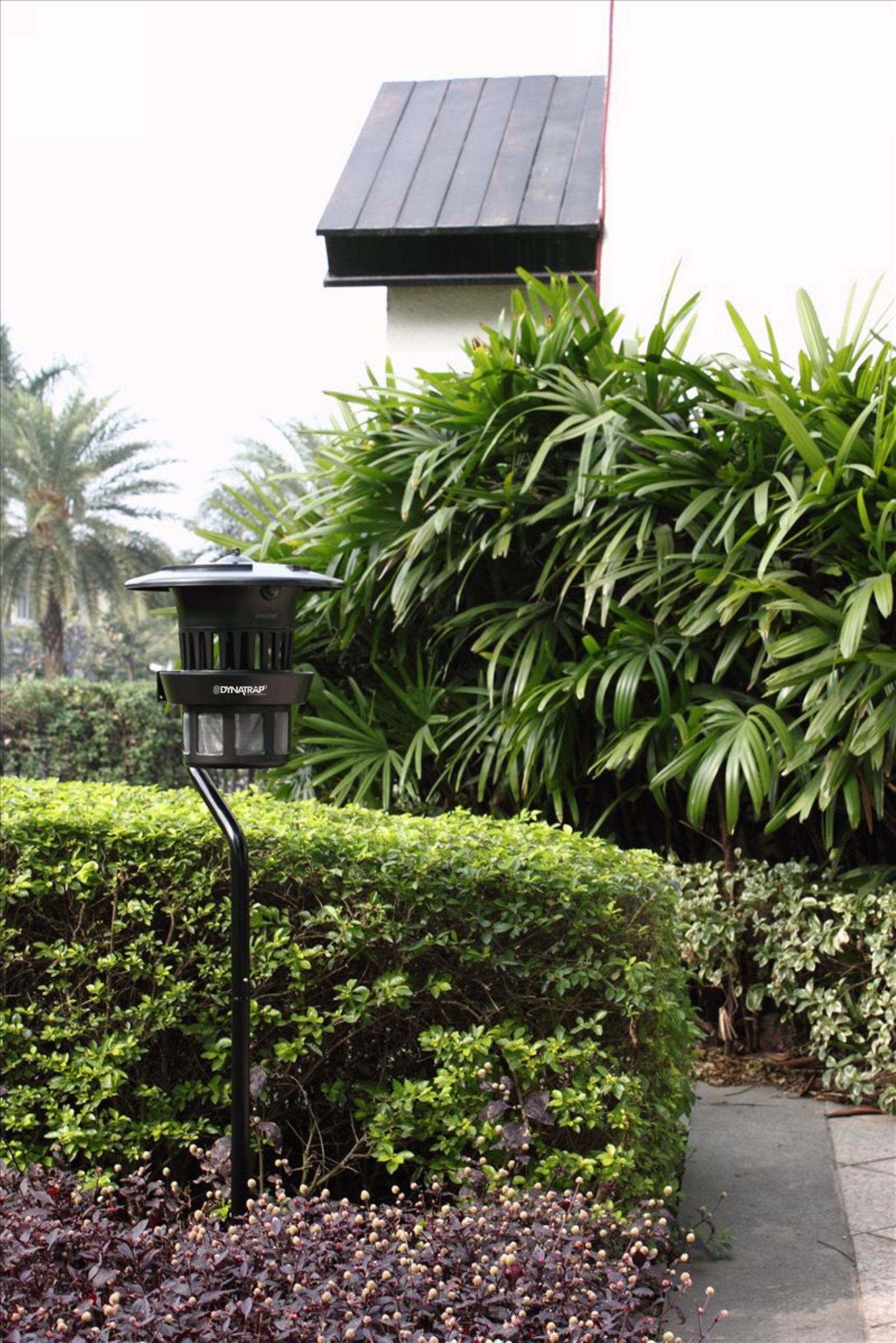 Dyntrap Insect Trap, 1/2 Acre Pole Mount With Water Tray