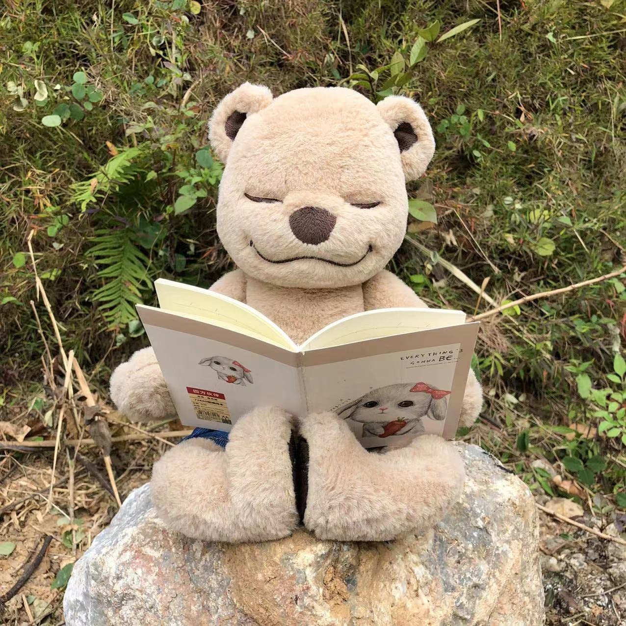 Meddy Teddy The Yoga Bear