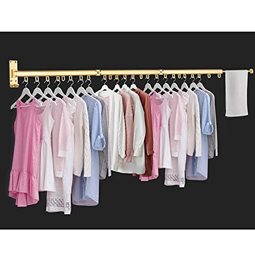 EAFTOS Drying Rack Indoor Balcony Outdoor Home Retractable Collapsible Laundry Garment Hanger for Balcony, Laundry Bathroom and Bedroom (Color : Gold, Size : 198x17.6cm)