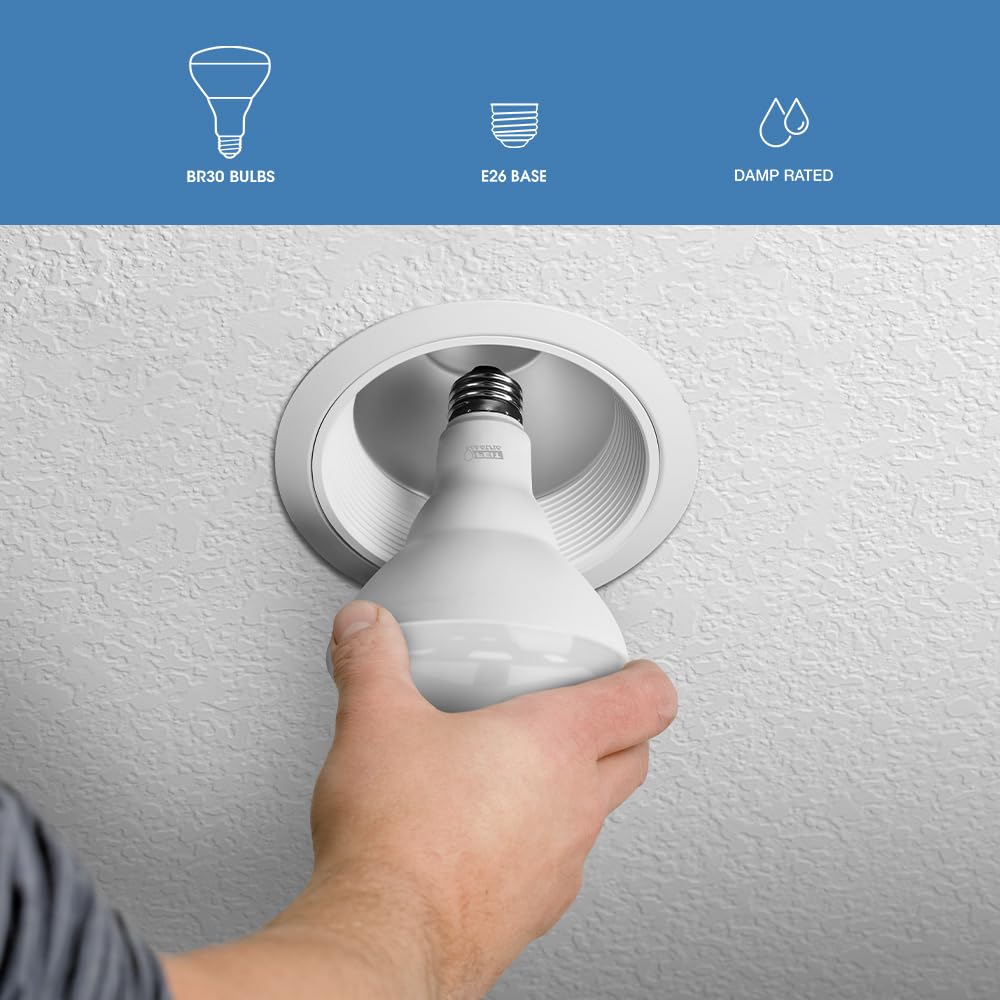 Feit Electric LED BR30 Bulbs, 65W Equivalent, 7.2W LED, 650 Lumens, Dimmable, 5000k Daylight, E26 Base, 22 Year Lifetime, Flood Light Bulbs, 1 Pack, BR30DM/950CA