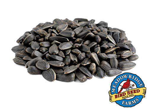 Meadow Ridge Farms Black Oil Sunflower Bird Seed, 40-Pound Bag