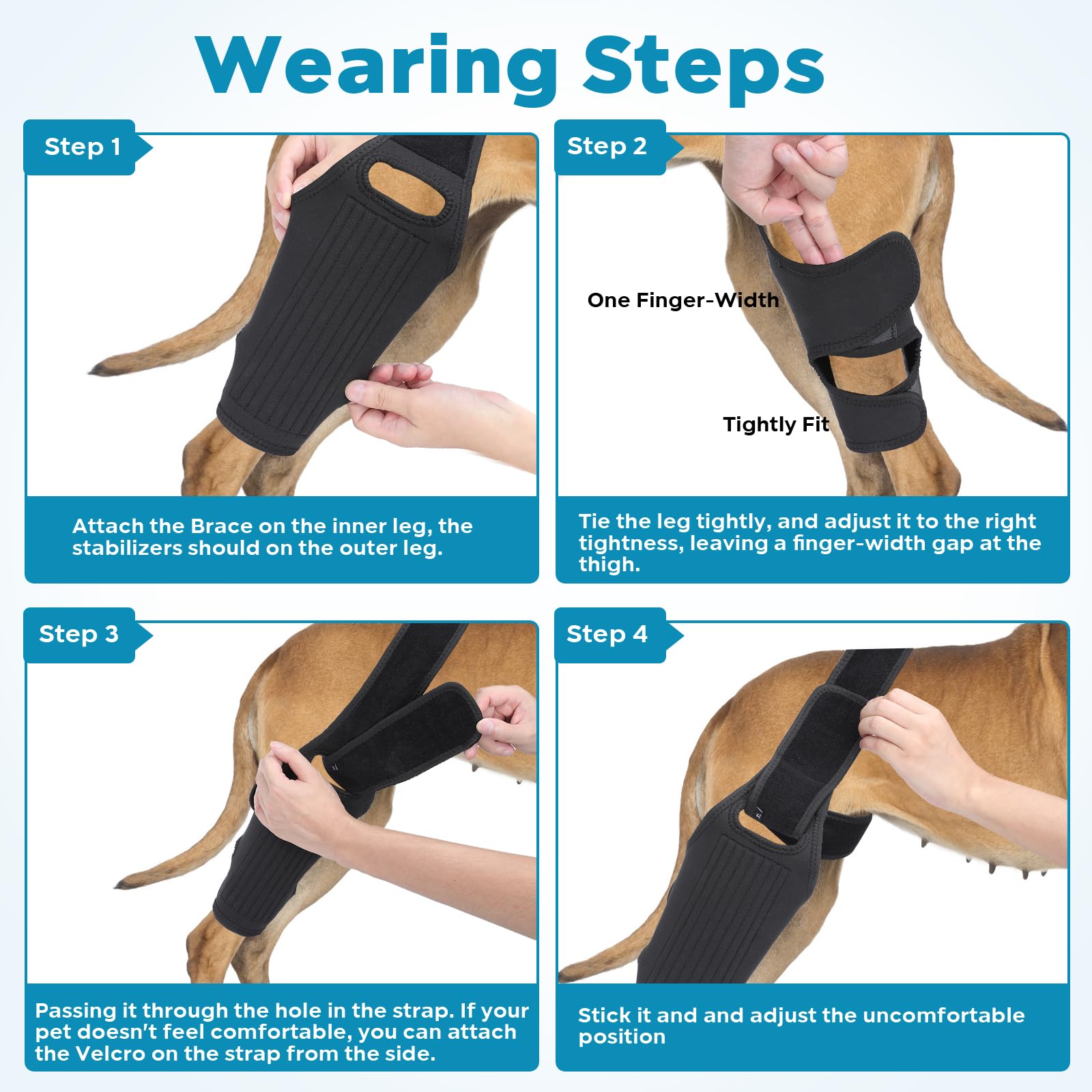 Ceuku Dog Knee Brace for ACL Hind Leg, Dog Leg Braces for Back Leg with Metal Spring Support, ACL Brace for Dogs Rear Leg Tear CCL with Dog Pull Collar, Support for Medium and Large Dogs(Size XL)