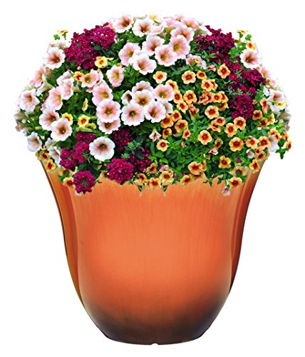 Classic Home and Garden Honeysuckle Resin Flower Pot Planter, Tequila Sunrise, 15"