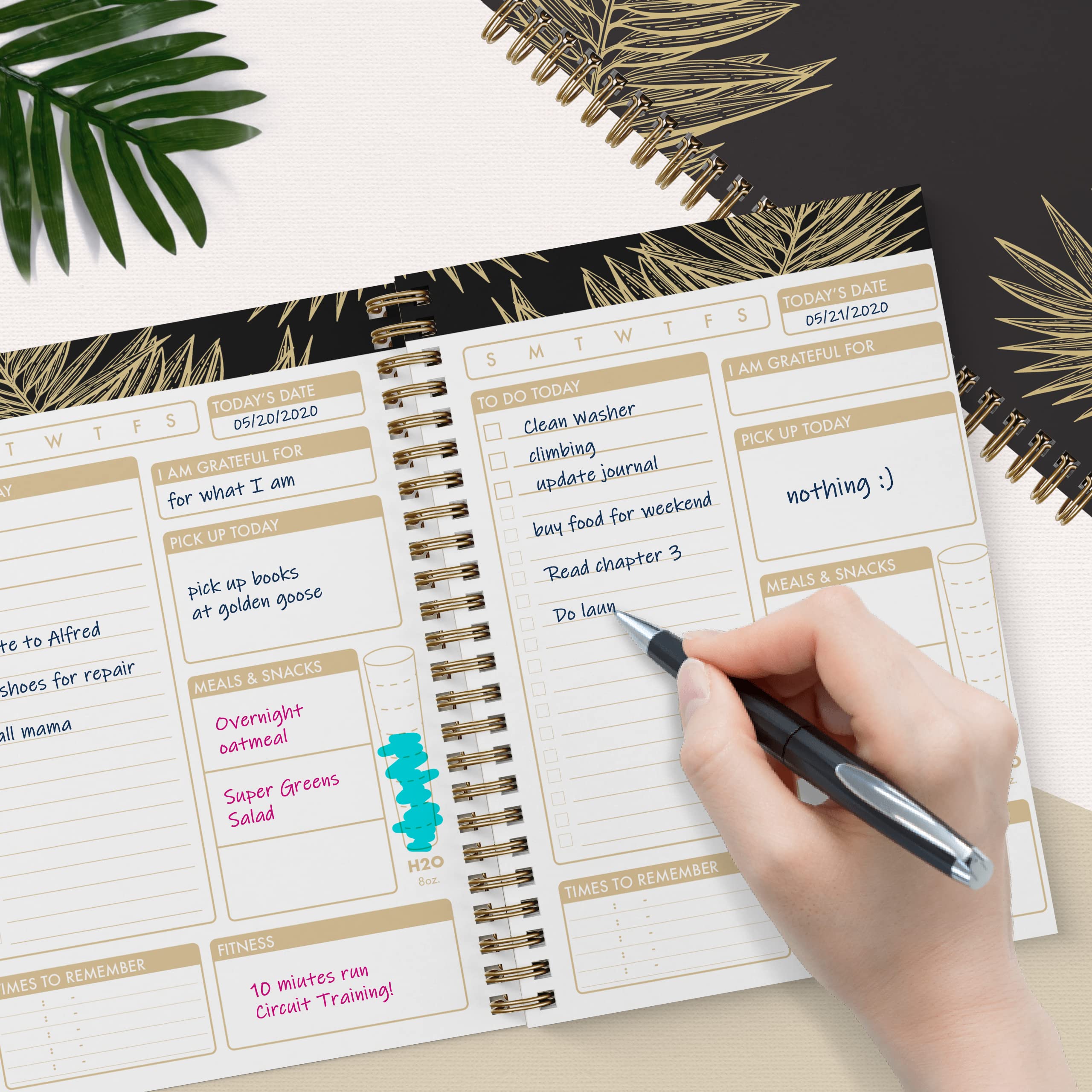 Bright Day Calendars Undated To Do List Daily Task Checklist Planner Time Management Notebook by Bright Day Non Dated Flex Cover Spiral Organizer 8.25 x 6.25 Habit Tracker (Gold Palm Leaves)