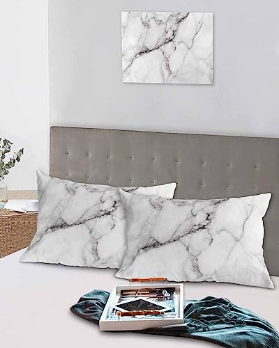 Edwiinsa Grey Marble Pillow Covers King Standard Set of 2 Bed Pillow, Modern White Abstract Art Aesthetics Plush Soft Comfort for Hair/Skin Cooling Pillowcases with Envelop Closure 20''x36''