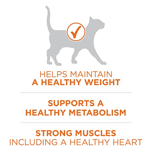 Purina ONE High Protein, Healthy Weight Dry Cat Food, +Plus Ideal Weight With Turkey - 16 lb. Bag