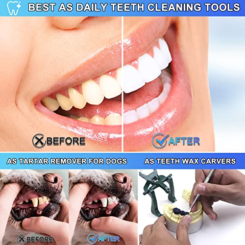 Dental Tools, 3 Pack Teeth Cleaning Tools Stainless Steel Dental Scraper, Pick Hygiene Set for Dentist, Personal Using, Family Oral Care, Pets, Cat, Dog - Tooth Tartar Plaque Scraper Remover