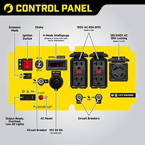 Champion Power Equipment 100520 8750-Watt DH Series Open Frame Inverter, Electric Start