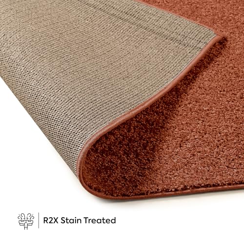 Furnish my Place Modern Plush Solid Color Rug - Rust, 2' x 3', Pet and Kids Friendly Rug. Made in USA, Area Rugs Great for Kids, Pets, Event, Wedding