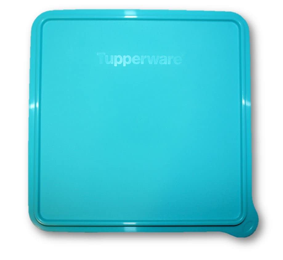 Tupperware Square Snack-stor Container (Blue Seal)