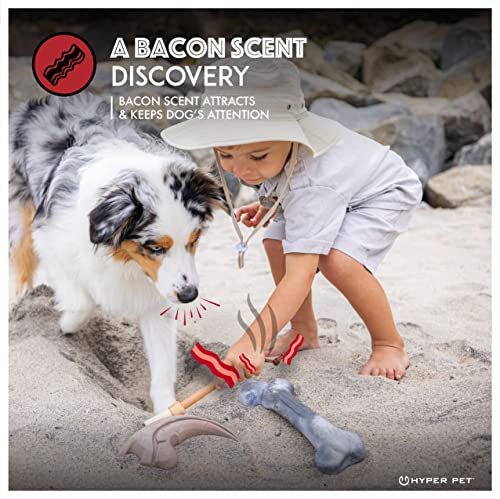 Hyper Pet Fossil Durable Dog Slow Feeder, Chew Toy, Interactive, Bacon Flavored Long Lasting for Aggressive Chewers, Megalodon Tooth, for All Breeds