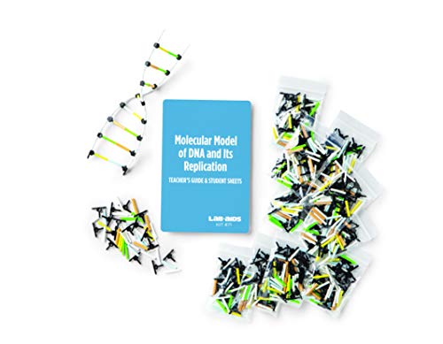 Lab-Aids Molecular Model of DNA and its Replication Kit 71