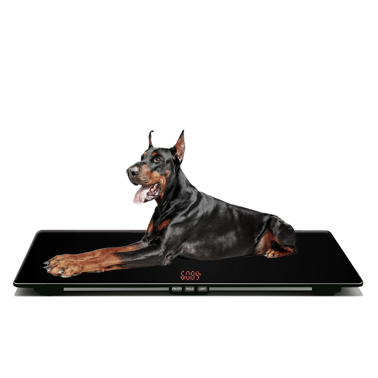 Large Breed Dog Weight Scale, Max Capacity 220 lbs, Surface, Easy Read LCD, Tempered Glass Platform, Includes Comfort Cushion, Ideal for Families and Veterinary Offices, XL(31.5inches)