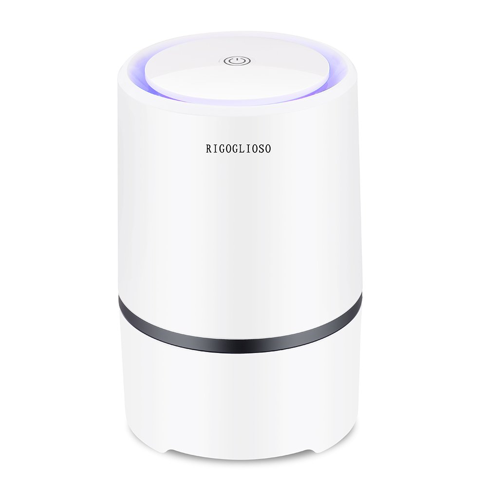 RIGOGLIOSO Air Purifier for Home with True HEPA Filters,Low Noise Portable Air Purifiers with Night Light,Desktop USB Air Cleaner