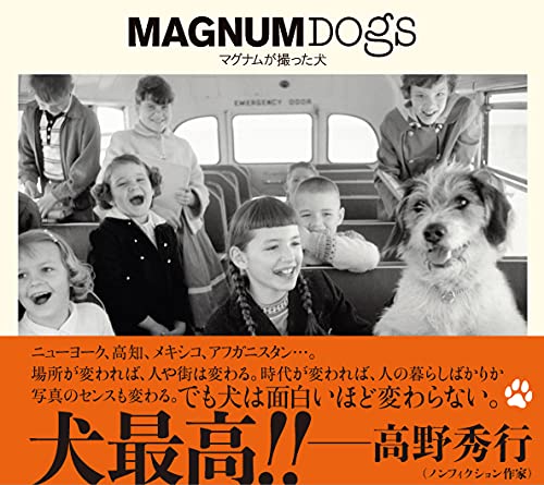 MAGNUM DOGS ăă°ăă ăæźăŁăçŹ