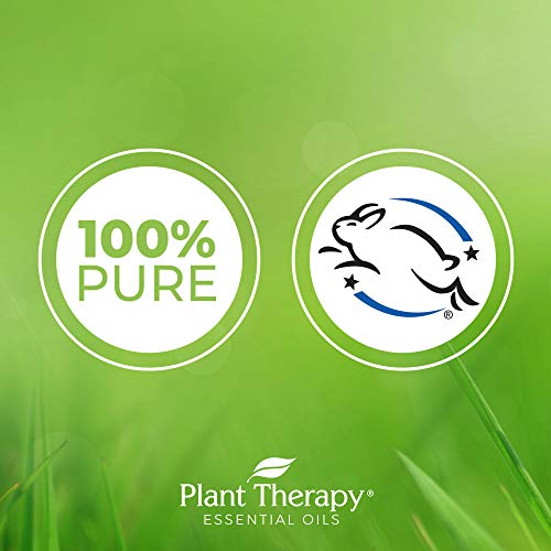 Plant Therapy Oregano Essential Oil 100% Pure, Undiluted, Natural Aromatherapy, Therapeutic Grade 10 mL (1/3 oz)