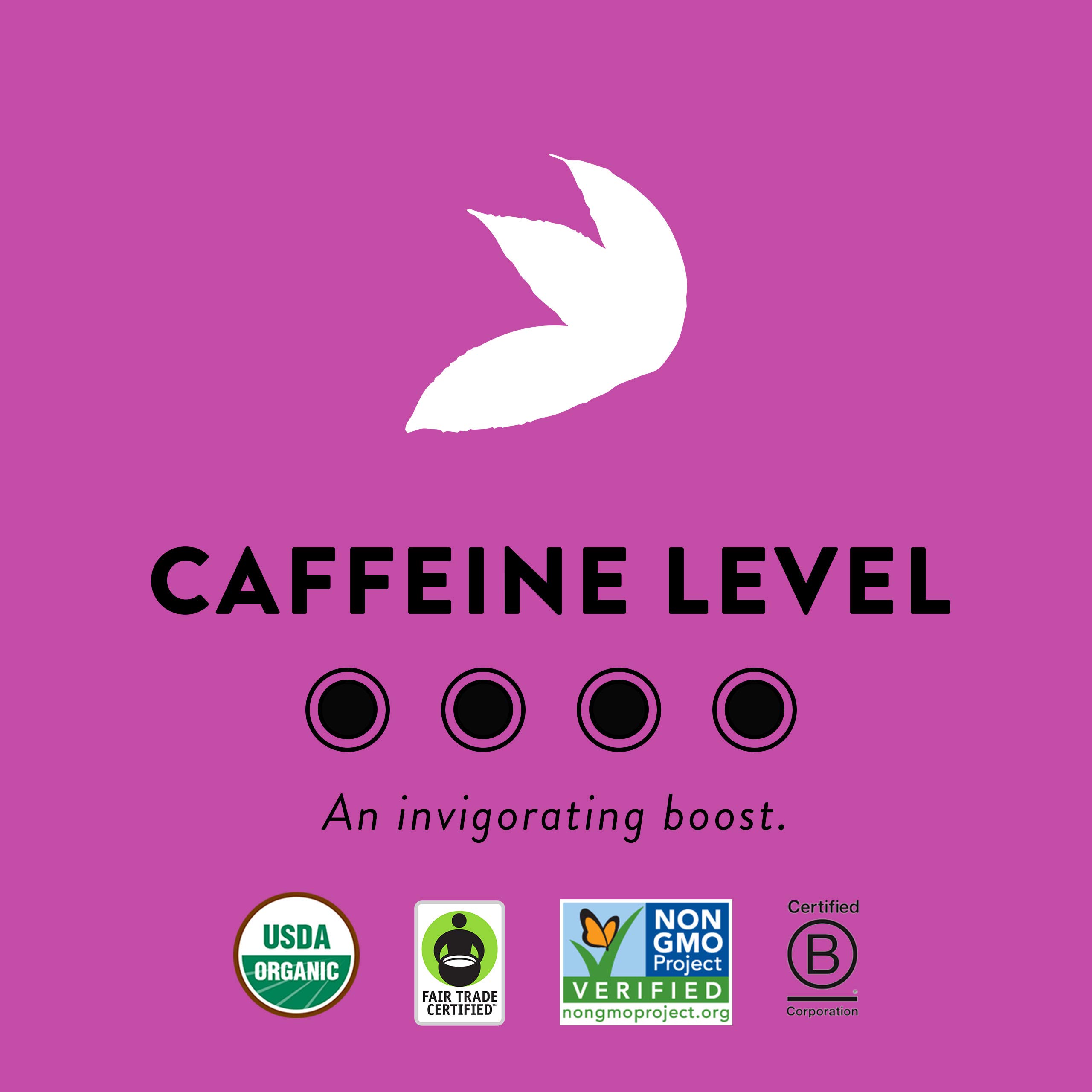 Choice Organics - Organic Darjeeling Tea (6 Pack) - Fair Trade - Compostable - Contains Caffeine - 96 Organic Black Tea Bags