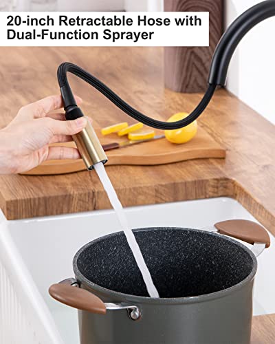Darnok 79723BX Mia Black and Gold Kitchen Faucet with Pull Down Sprayer, 15.6-inch High-arc Magnetic Docking Kitchen Sink Faucet, Matte Black/Luxe Gold
