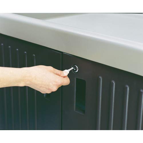 Rubbermaid Commercial Executive Series Locking Door Kit for Full Size and Compact Housekeeping Carts, Black